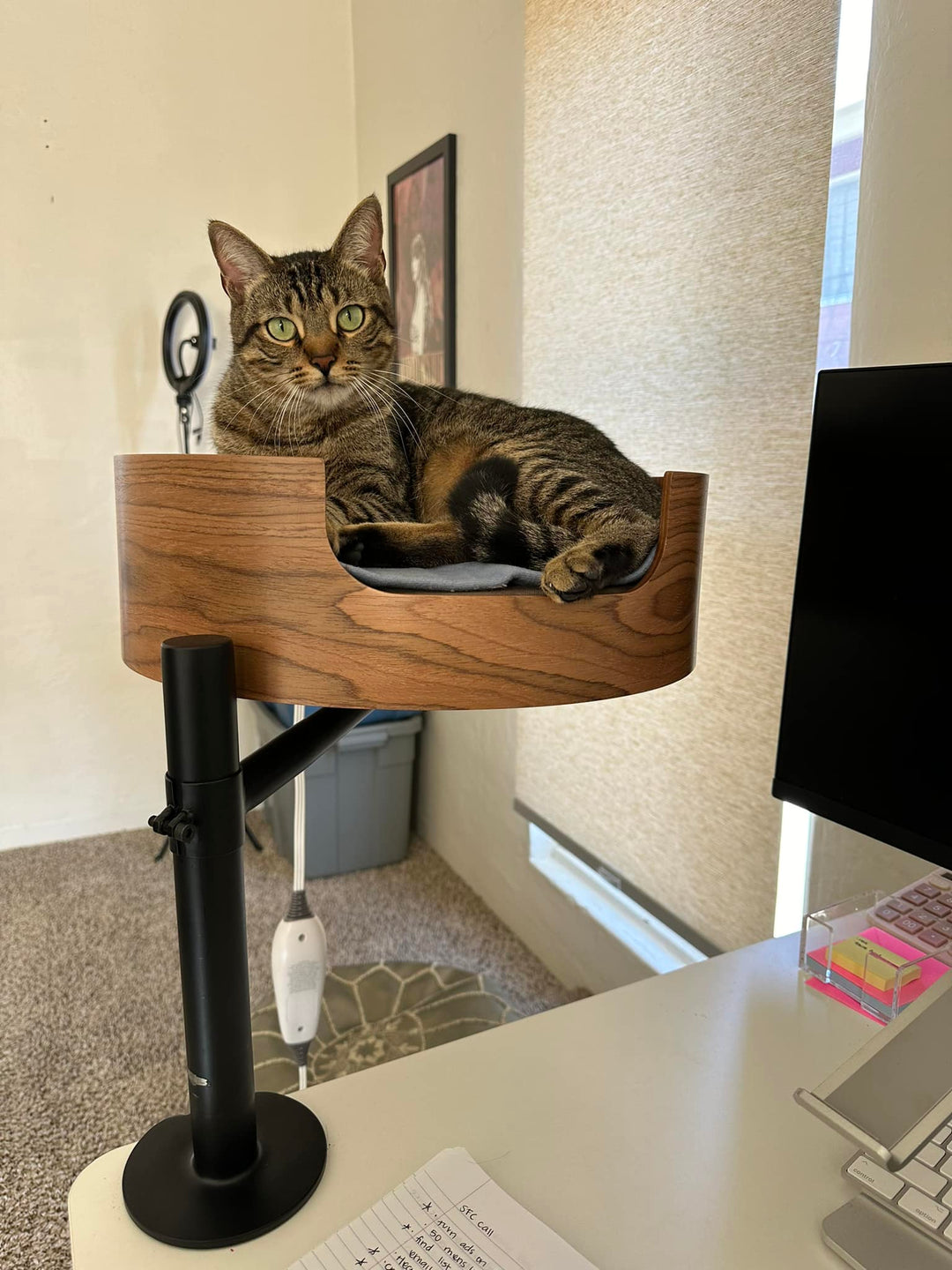 Reviews – Desk Nest Cat Bed