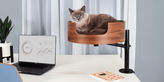 Desk Nest® Cat Bed | Purrfect For Your Desk – Desk Nest Cat Bed