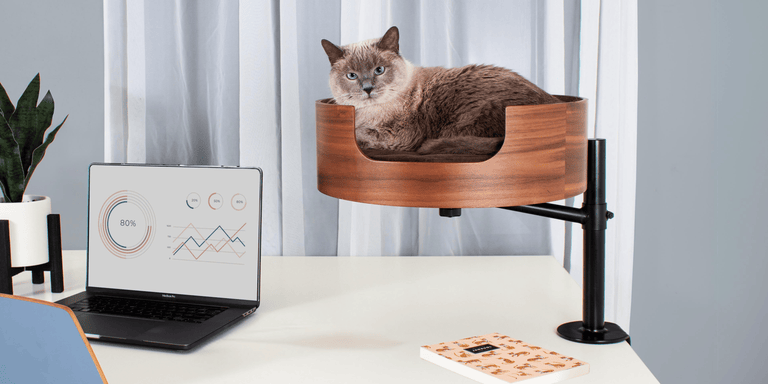 Desk Nest® Cat Bed | Purrfect For Your Desk – Desk Nest Cat Bed