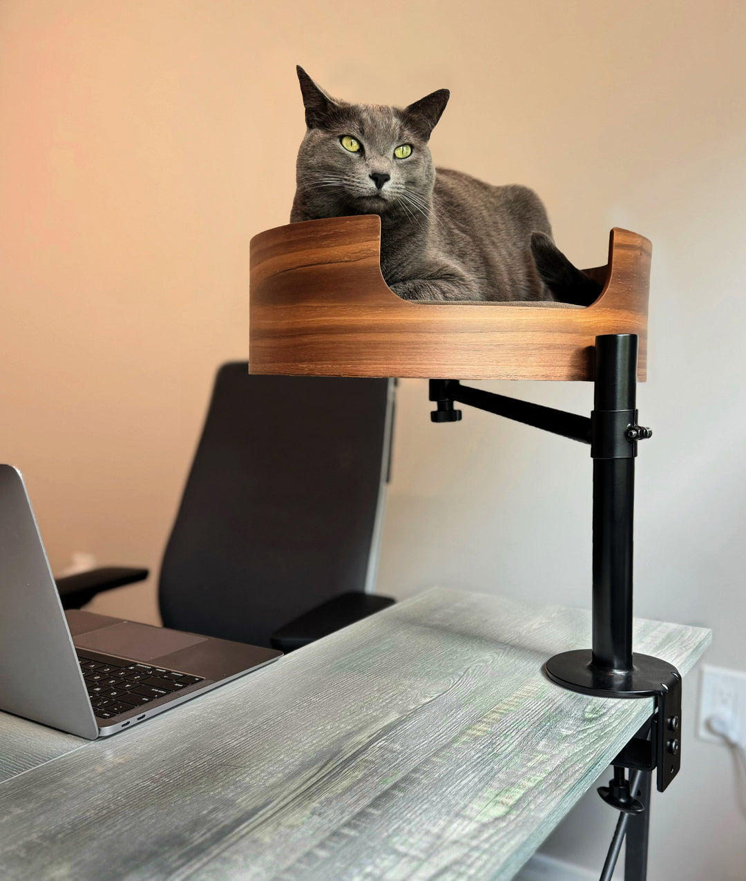 Desk Nest® Cat Bed | Purrfect For Your Desk – Desk Nest Cat Bed