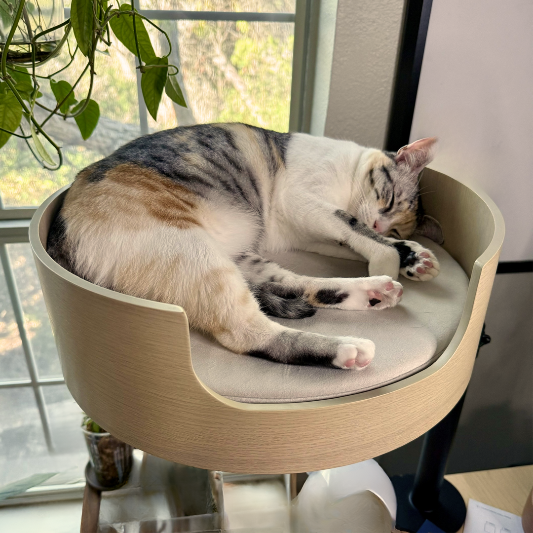 Desk Nest – Desk Nest Cat Bed